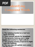 Rainbow Compound Words Activity | PDF | Language Arts & Discipline