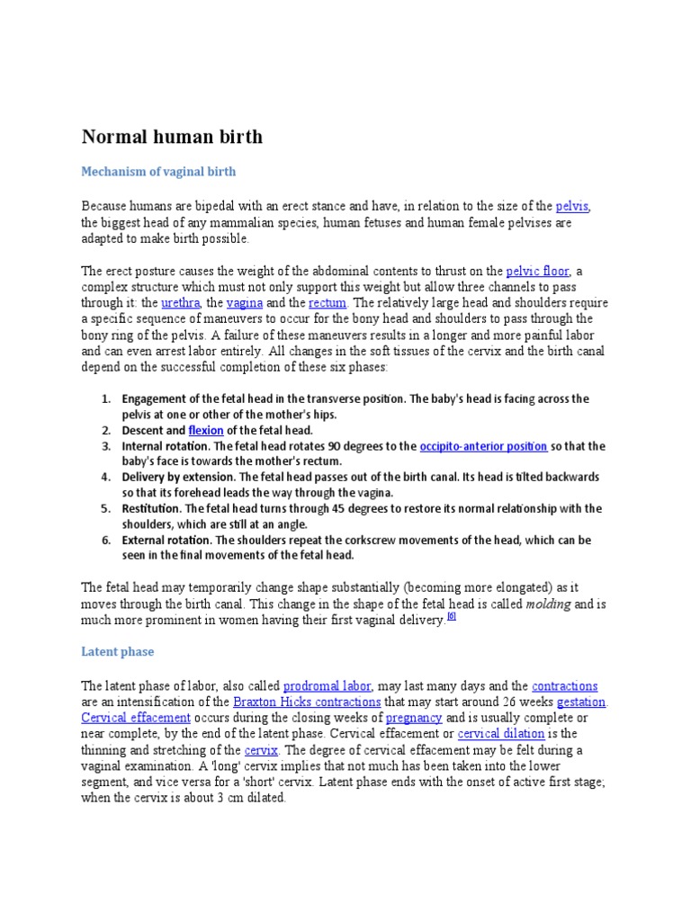 Normal Human Birth | PDF | Childbirth | Pelvis