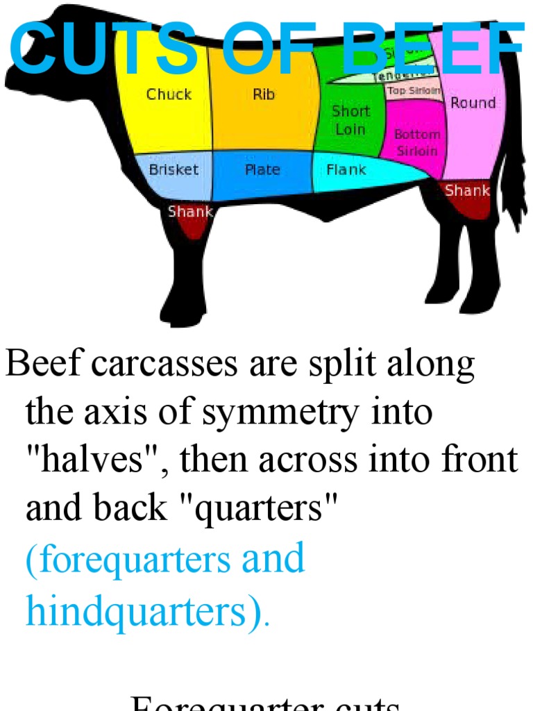 Beef Cuts Powerpoint | PDF