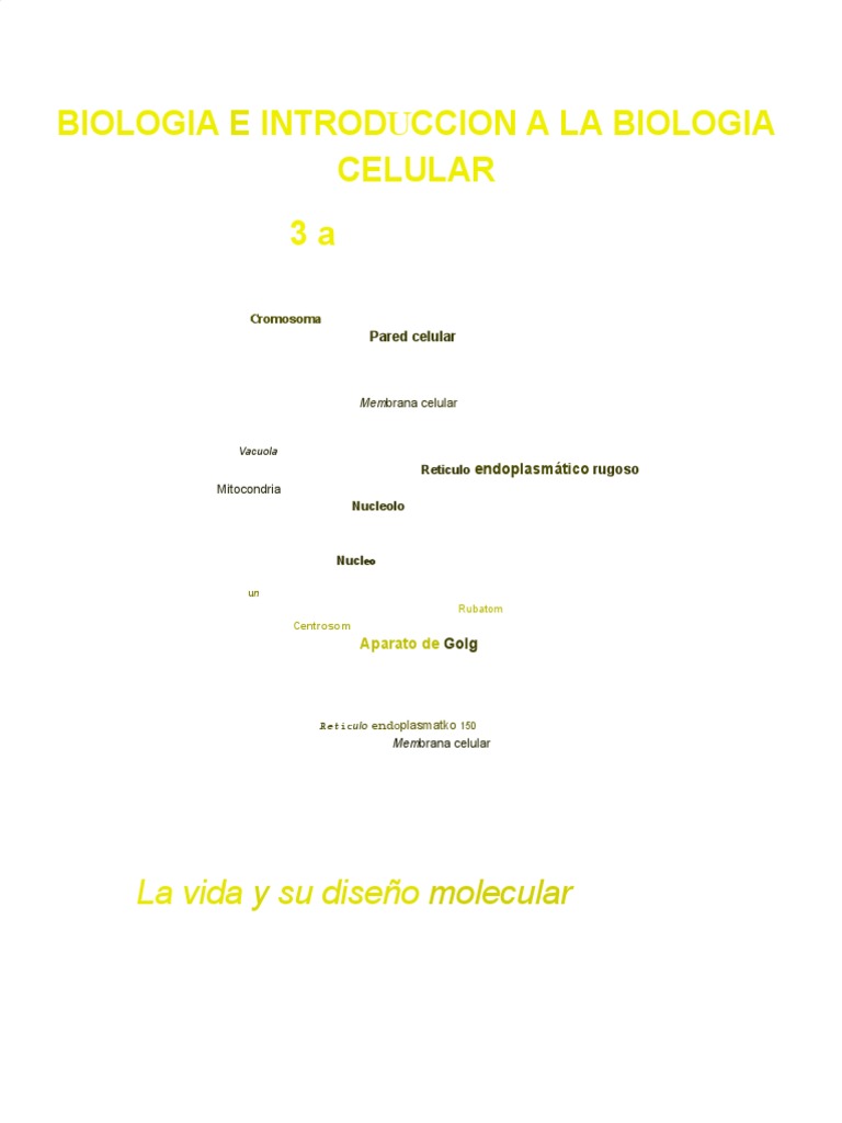 Cuadernillo 3A PDF | PDF | Propiedades del agua | Aminoácidos