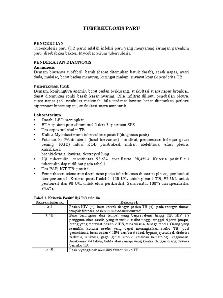 PPK Tuberkulosis Paru | PDF