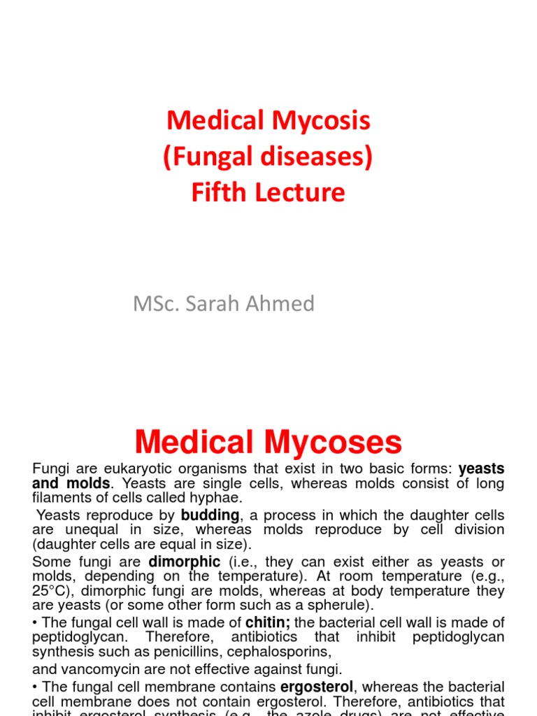An Overview of Medical Mycoses: Distinguishing Between Yeasts, Molds ...