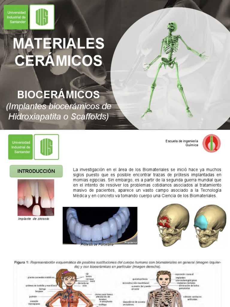 Hidroxiapatita en Biocerámicos | PDF | Cerámica | Ingeniería Cerámica