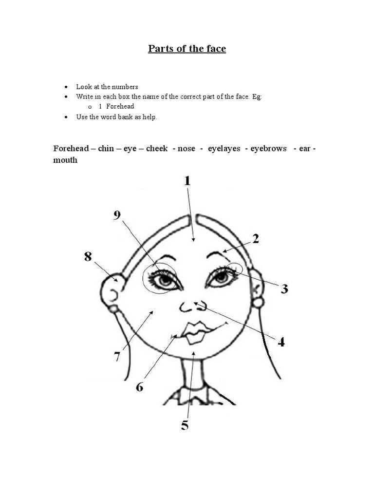 Parts of The Face: Forehead - Chin - Eye - Cheek - Nose - Eyelayes ...