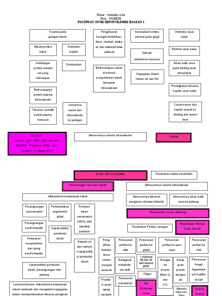 Pathway Syok Hipovolemik dan Intervensi | PDF