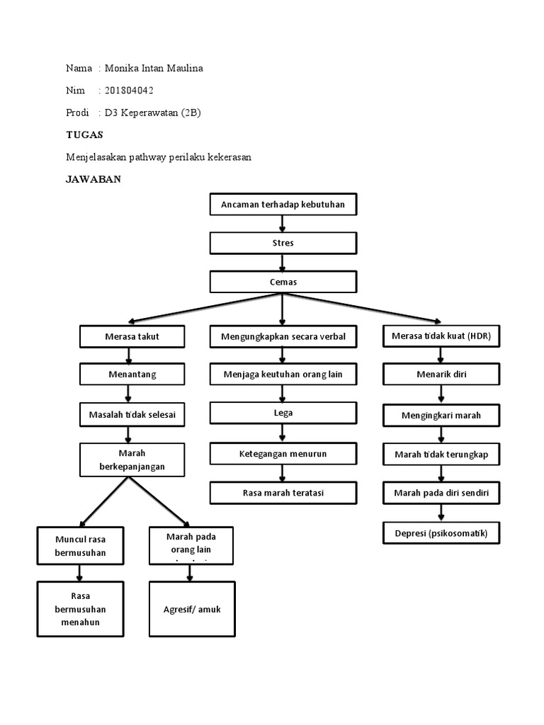 Pathway Perilaku Kekerasan dan Cemas | PDF
