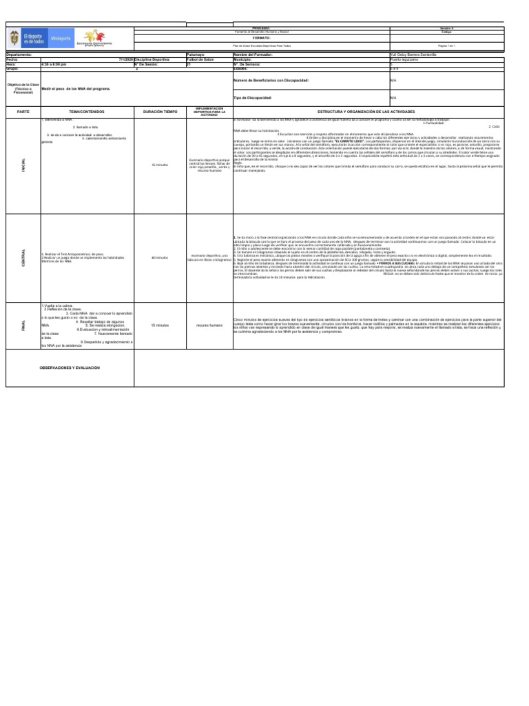 Formato Plan Diario de Clase 6 A 9 | PDF | Semáforo | Color