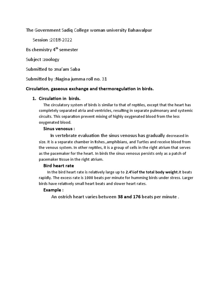 Zoology Assignment | PDF | Atrium (Heart) | Lung