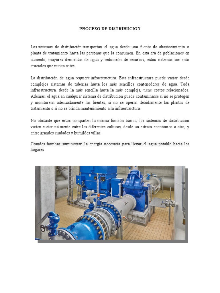 Proceso de Distribucion | PDF