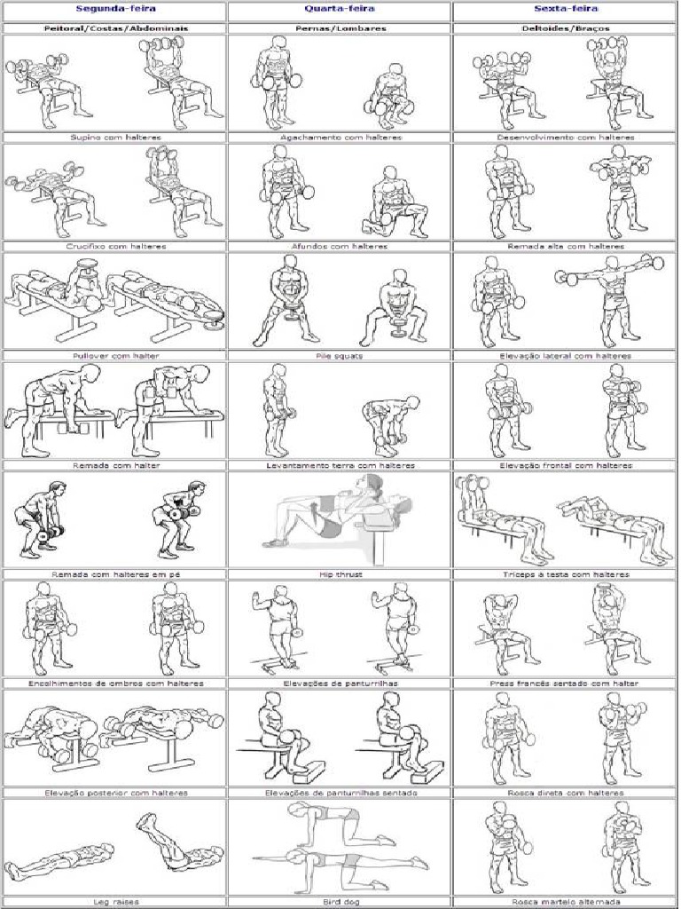 Treino Halteres PDF | PDF