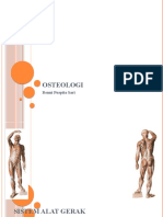 Anatomi Trunkus Manusia | PDF