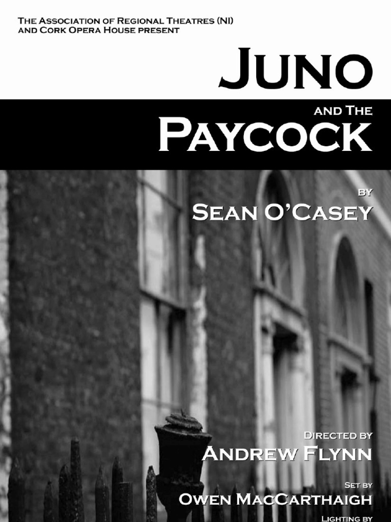 Juno and the Paycock: Teacher's Guide | PDF