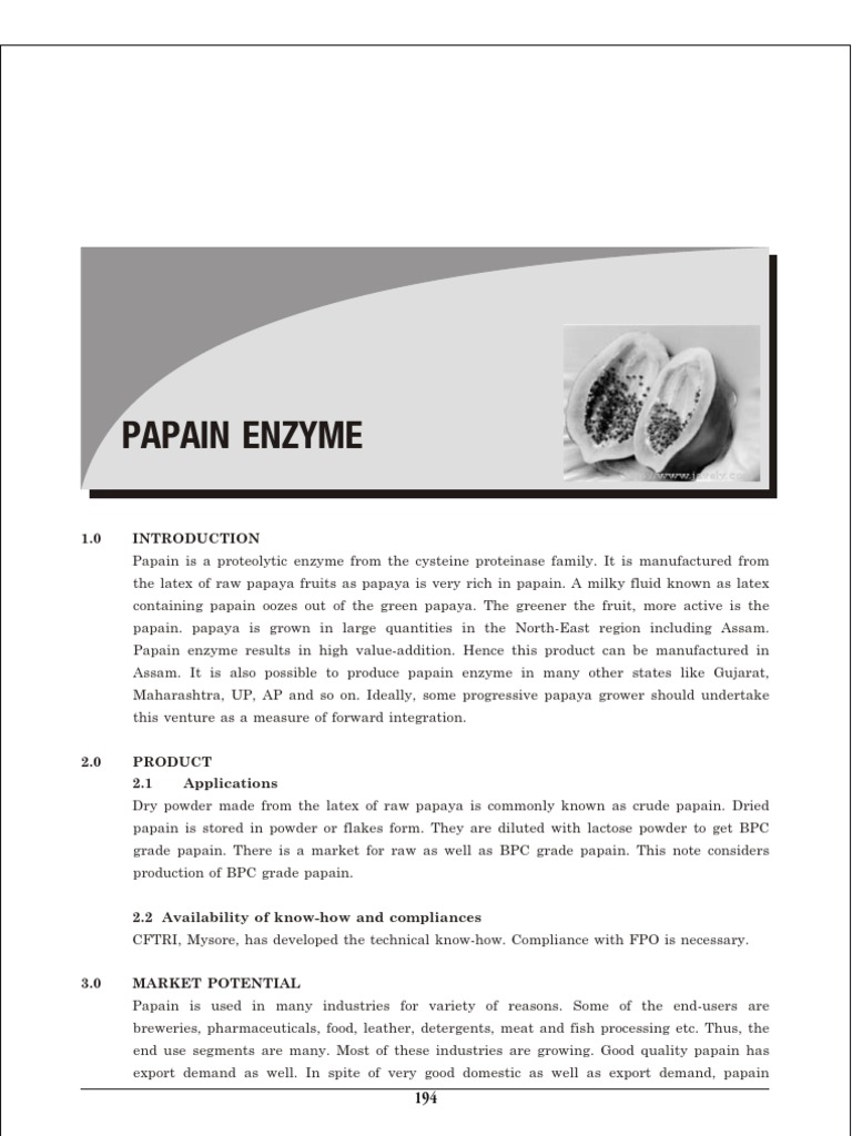 Papain Enzyme Production | PDF | Expense | Interest