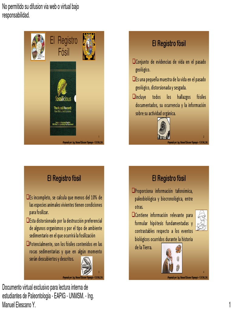 7.registro Fosil MEY2018 I PDF | PDF | Fósil | Escala de tiempo geológico