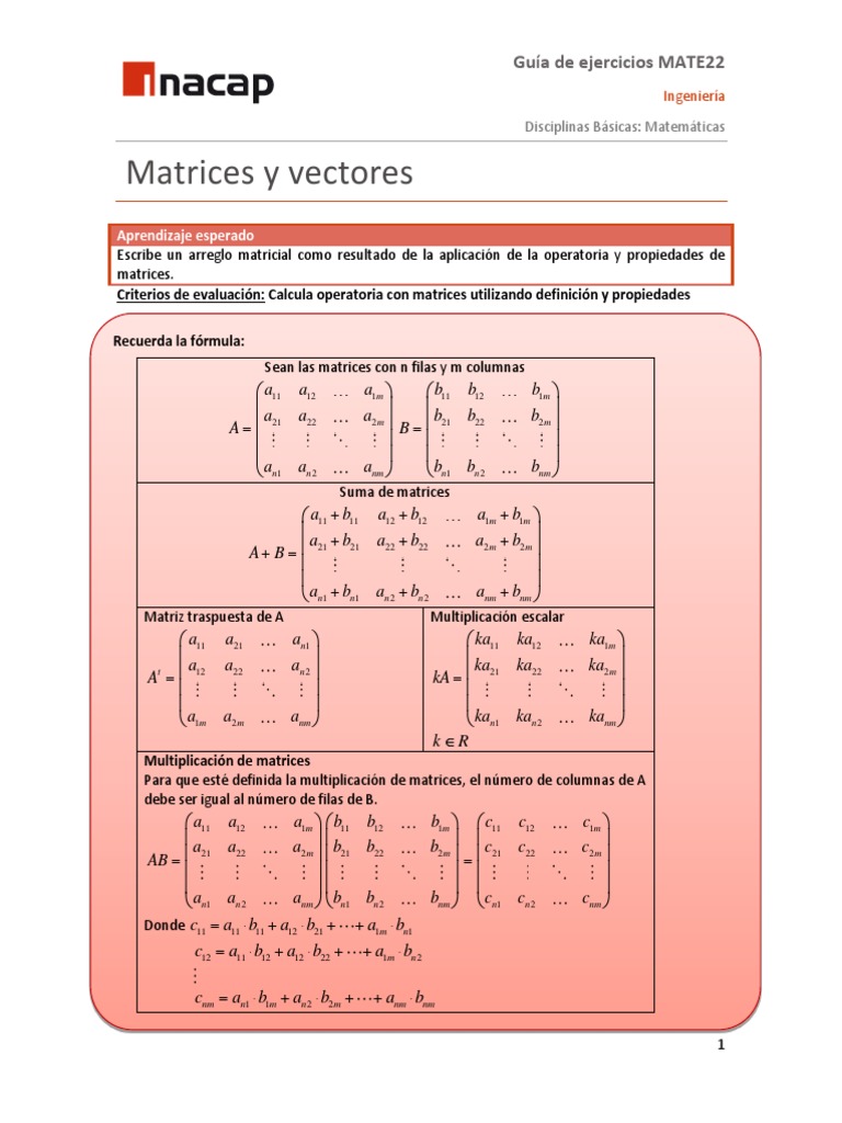 Inacap - Mate II - Matrices y Vectores Unidad III y IV PDF | PDF ...
