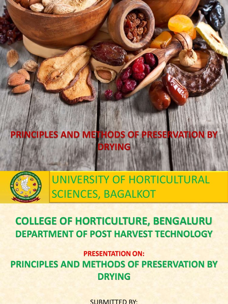 Drying Methods for Food Preservation | PDF | Foods | Food Preservation