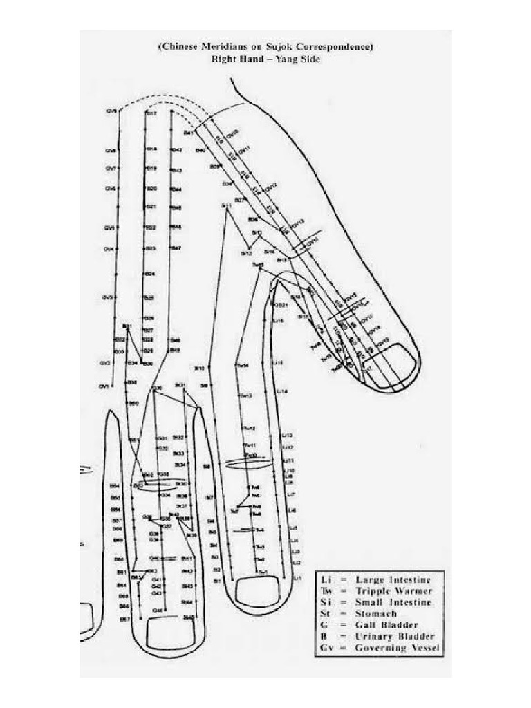 Sujok Therapy Chart