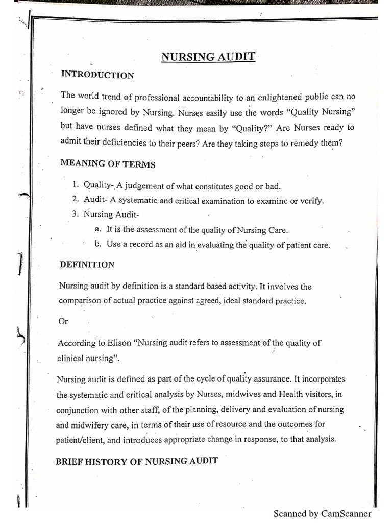 Nursing Audit | PDF