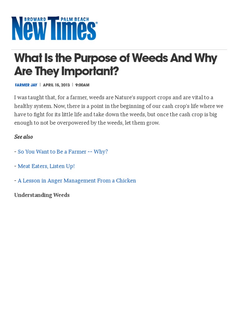 What Is The Purpose of Weeds and Why Are They Important - New Times ...