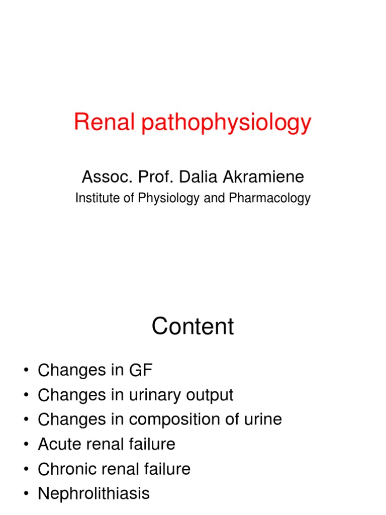 Renal Pathophysiology PDF | PDF | Renal Function | Kidney