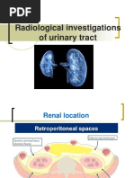 CT Urography: Techniques & Protocols | PDF | Ct Scan | Kidney