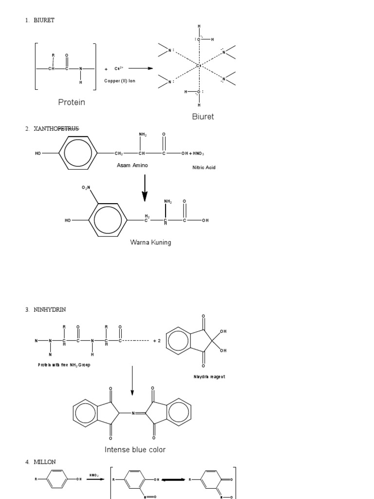 Andat Protein | PDF | Analytical Chemistry | Molecular Biophysics