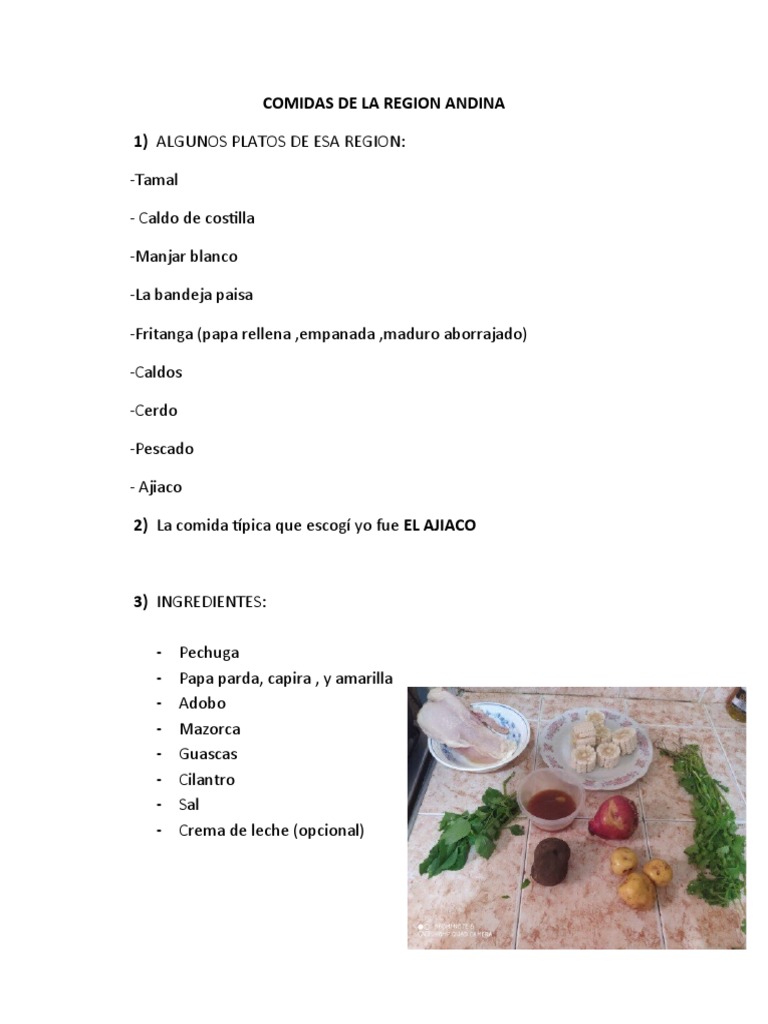 Comidas de La Region Andina | PDF