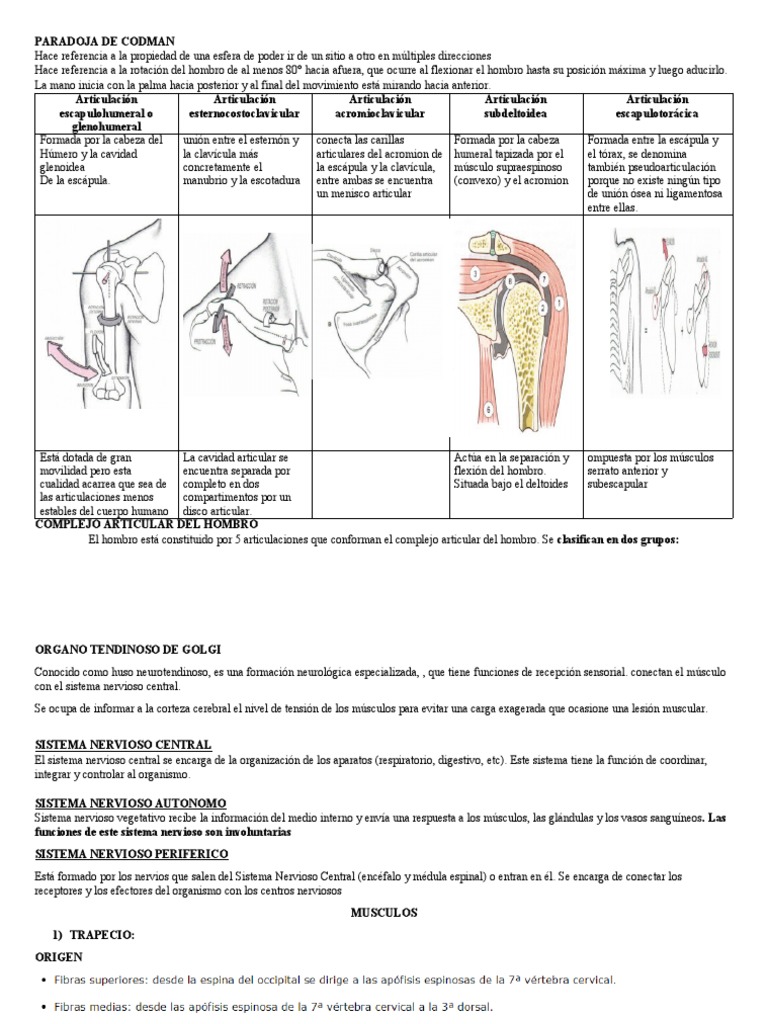 Paradoja De Codman | Hombro | Codo