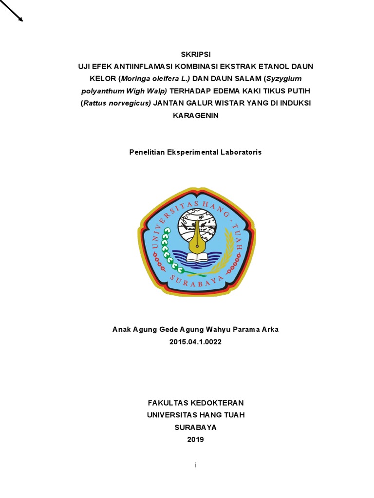 Skripsi Revisi | PDF