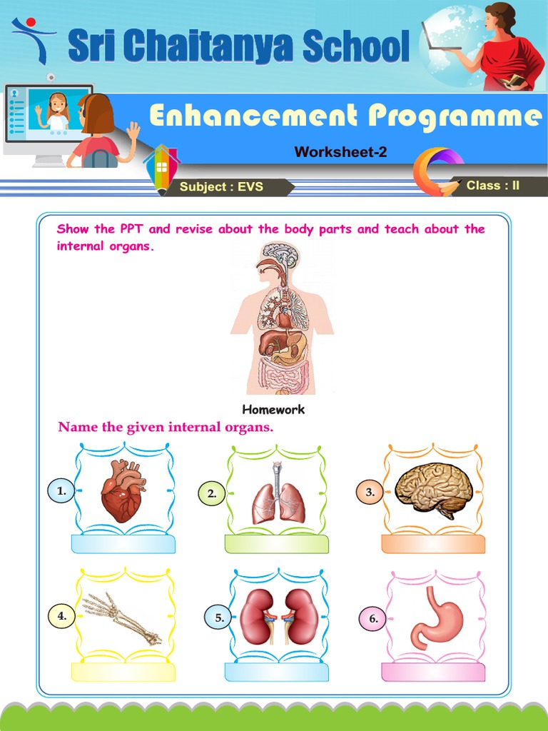 Enhancement Programme: Worksheet-2 | PDF