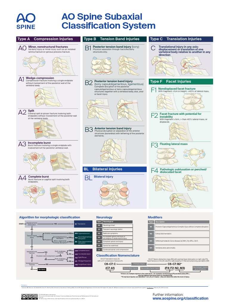 AOS Injury Classification Systems Poster 20200327 SUBAXIAL | PDF ...