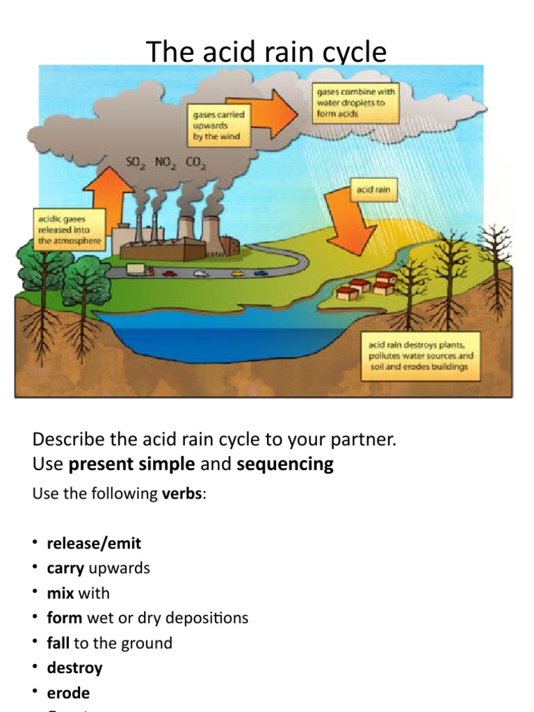 Acid Rain Cycle Explained Simply | PDF