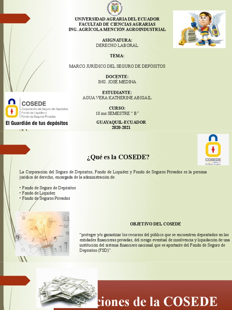 Corporación Del Seguro de Depósitos (COSEDE) | PDF | Seguro | Bancos