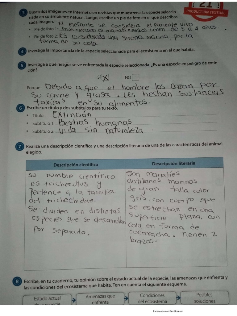 Libro Lectopolis 4 PDF | PDF