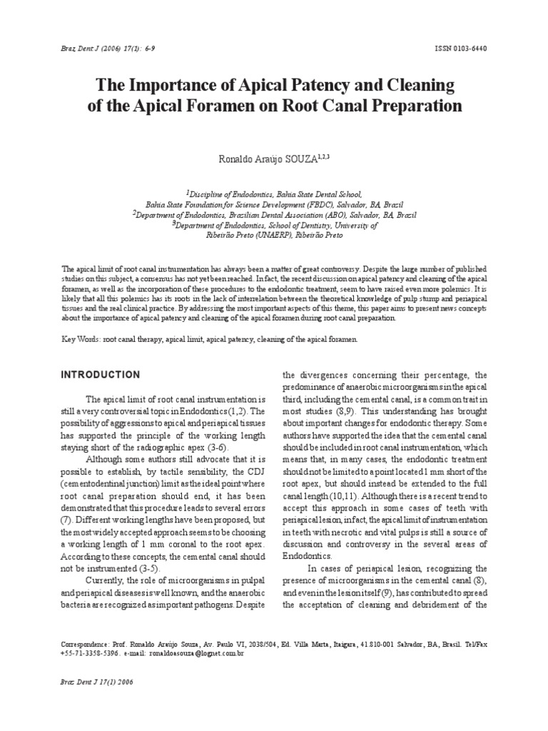 The Importance of Apical Patency and Cleaning of The Apical Foramen On ...