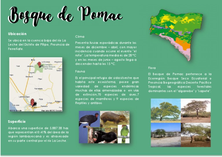 Bosque de Pomac | PDF