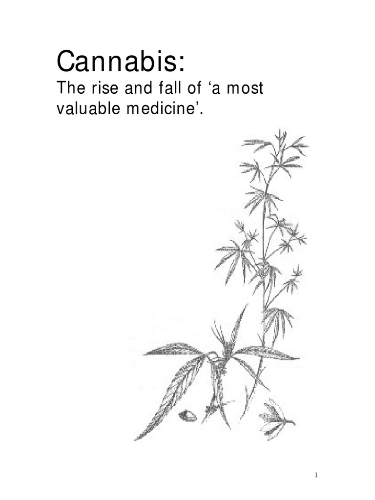 Cannabis Rise and Fall of | PDF | Cannabis (Drug) | Cannabis