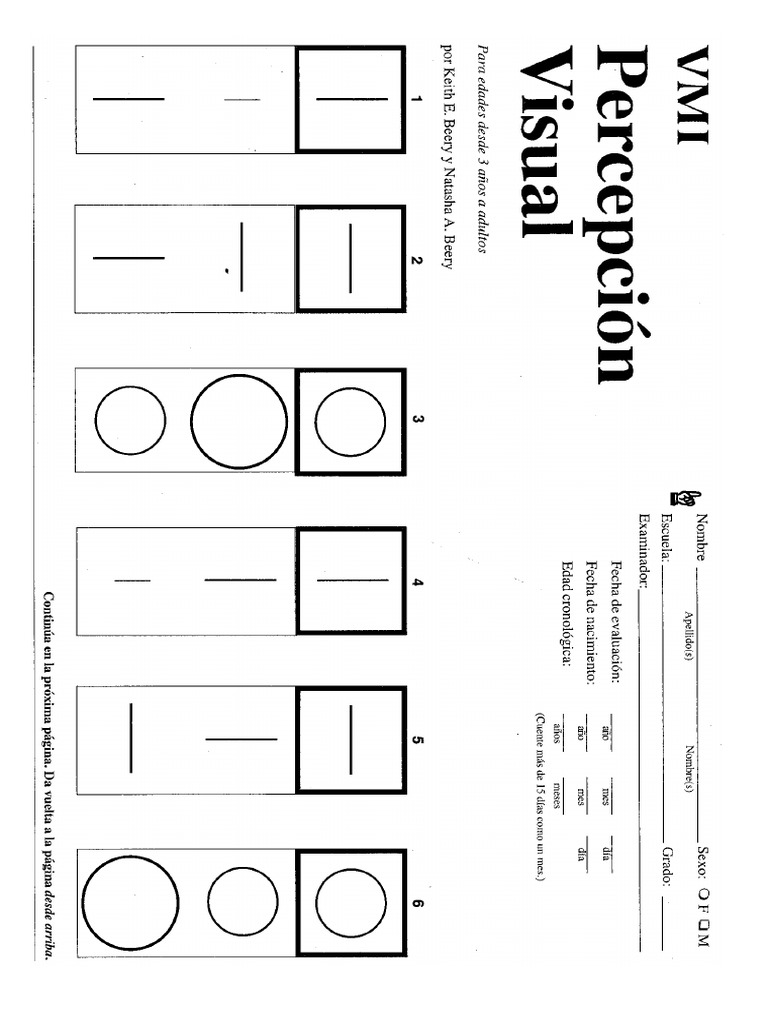 Vmi-Percepcion Visual PDF | PDF