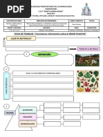 Actividades 5 Taxonomía de Los Seres Vivos | PDF