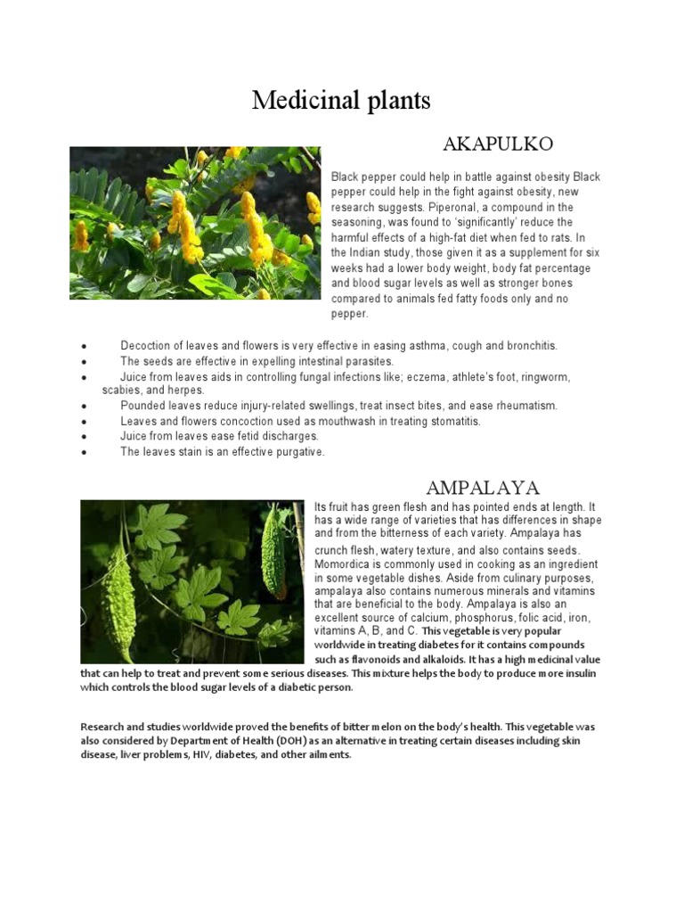 Medicinal Plants | PDF | Plants | Wellness