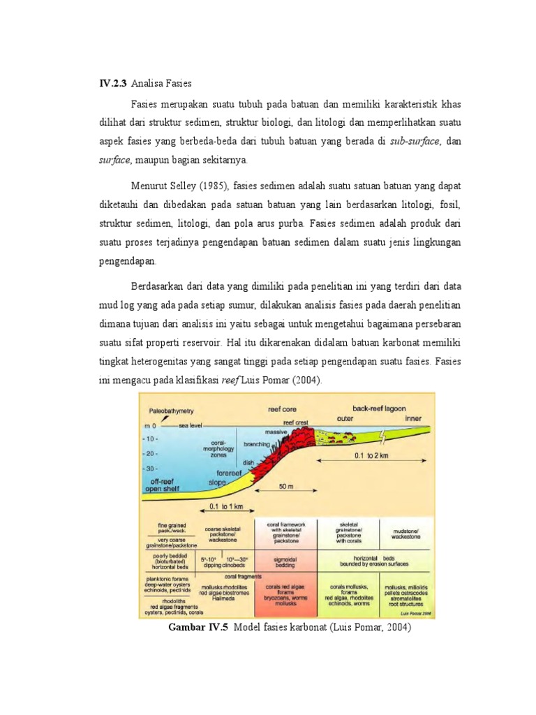 Fasies 1 | PDF | Seni
