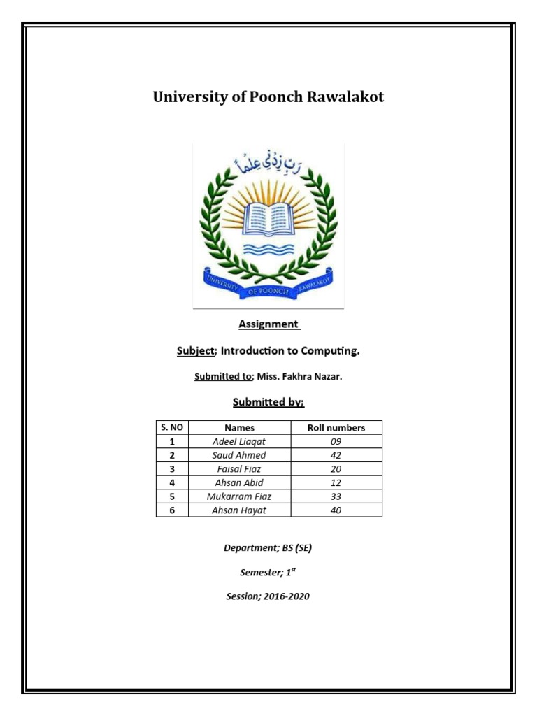 University of Poonch Rawalakot: Assignment Subject Introduction To Computing | PDF