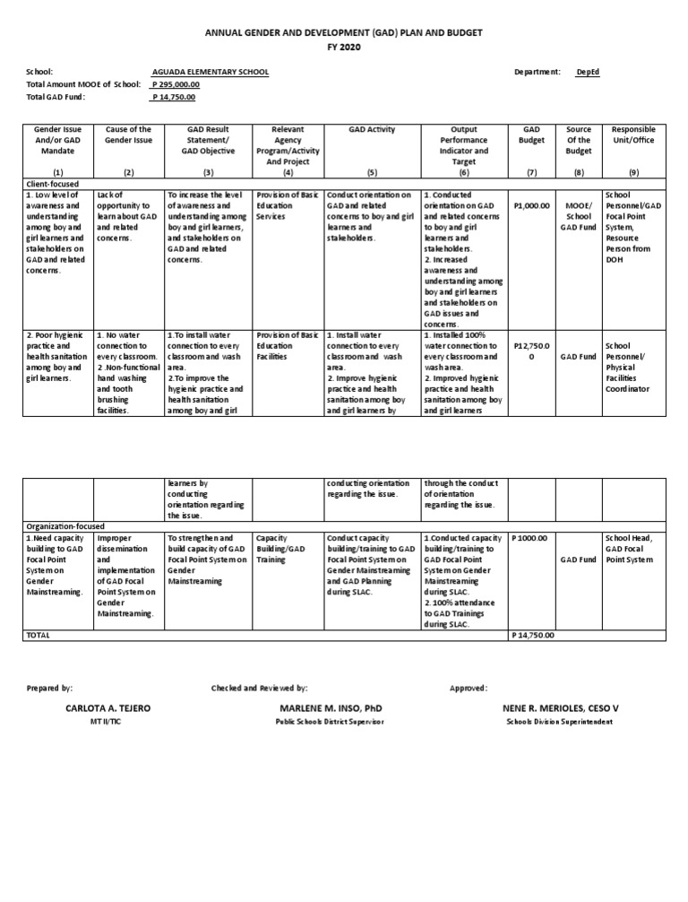 Annual Gender and Development (Gad) Plan and Budget FY 2020 | PDF ...