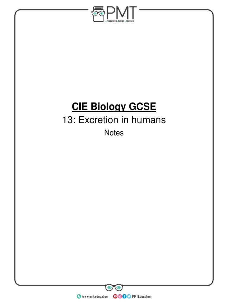 Summary Notes - Topic 13 Excretion in Humans - CIE Biology IGCSE | PDF ...