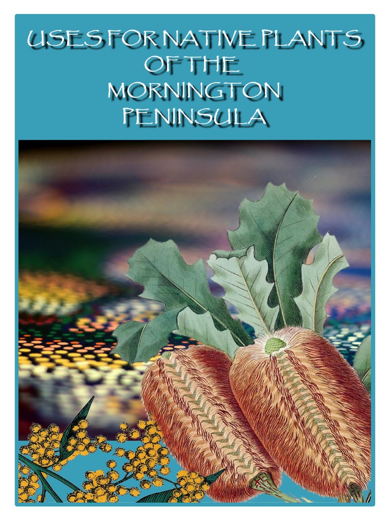 Indigenous Plants of Mornington Peninsula | PDF | Botany | Organisms