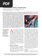 Bruce and Naughton Protocol | PDF | Physical Exercise | Cardiology