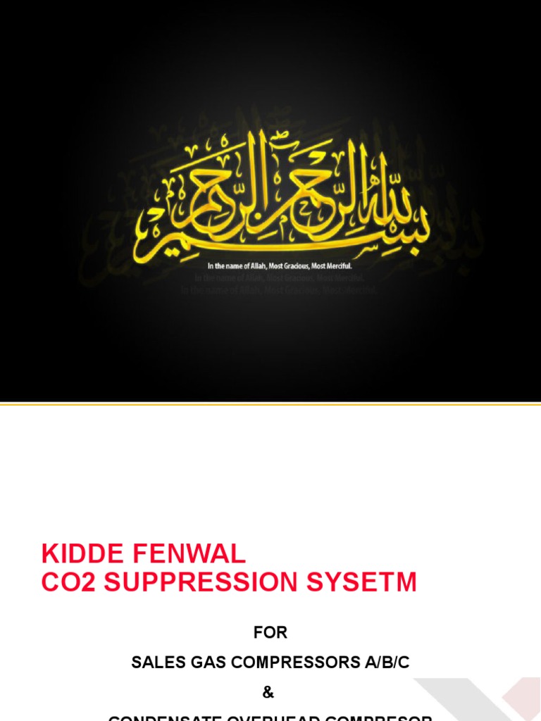 CO2 Fire Suppression System | PDF | Switch | Valve