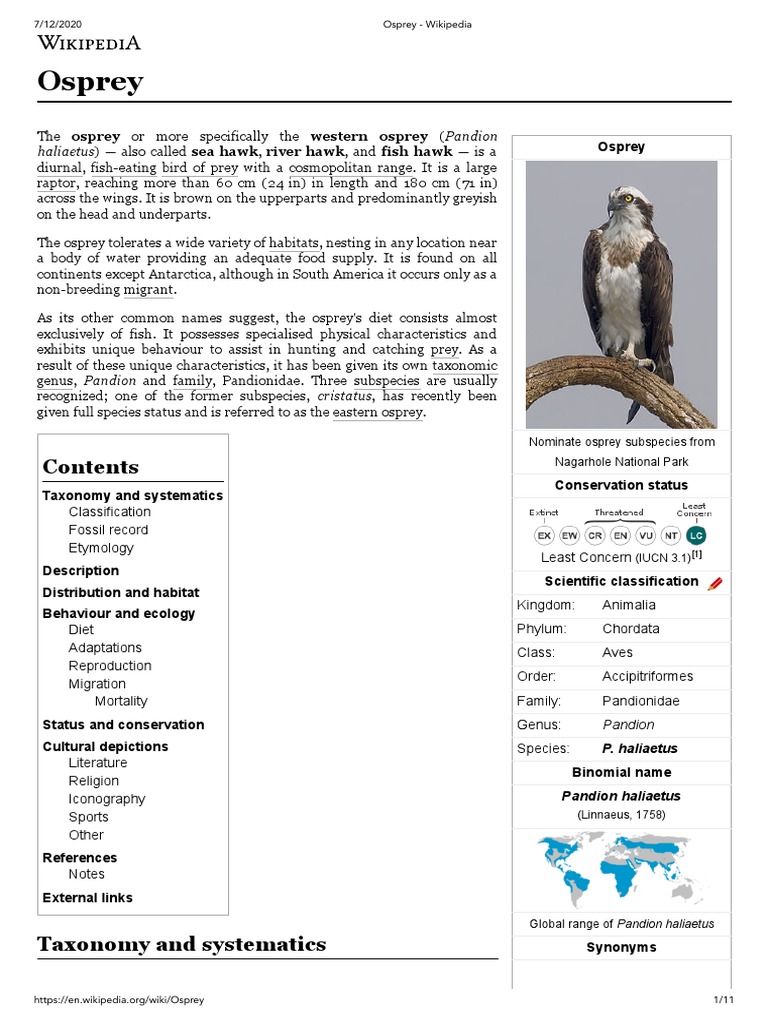 Osprey - Wikipedia | PDF | Birds | Paravians