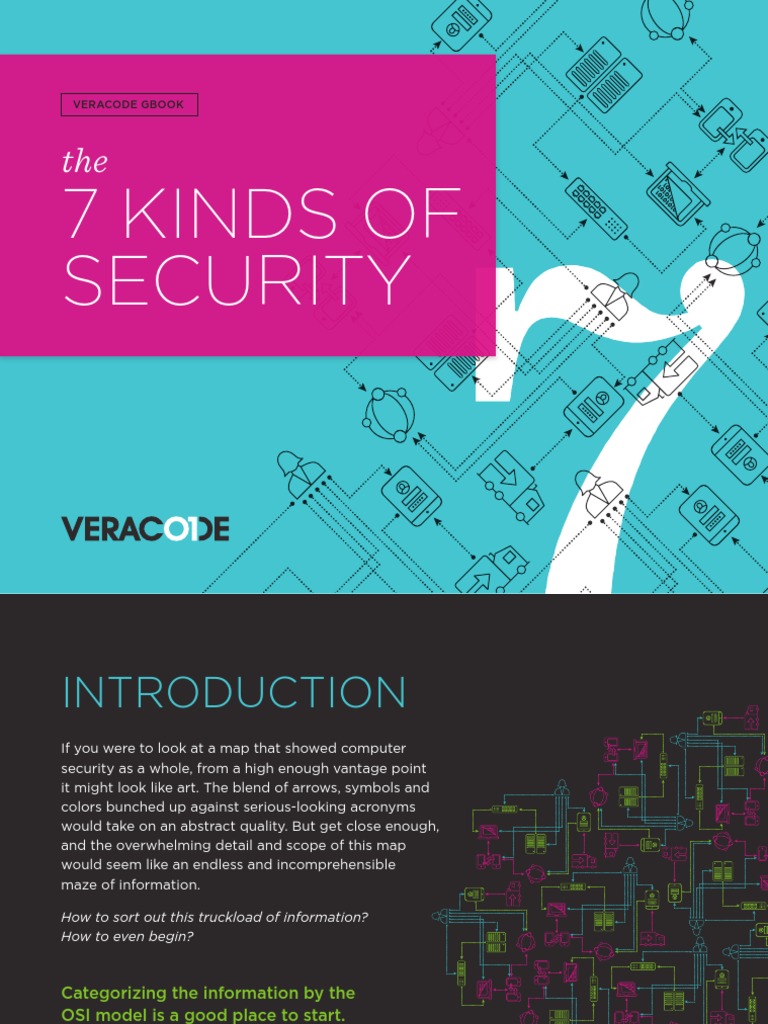 VERACODE GBOOK 7 KINDS OF SECURITY | PDF | Vulnerability (Computing) | Computer Network