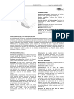 Principio ALARA en Protección Radiológica | PDF | Planificación ...